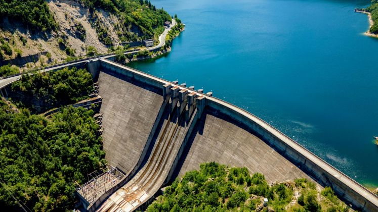 Global Study Finds Dams Harmful to Migratory River Species - Inspiring ...